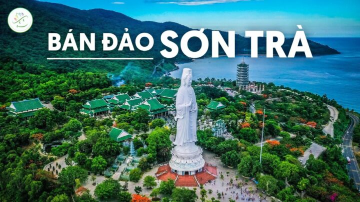 Bán Đảo Sơn Trà - Hướng dẫn du lịch Bán đảo Sơn Trà (2024)