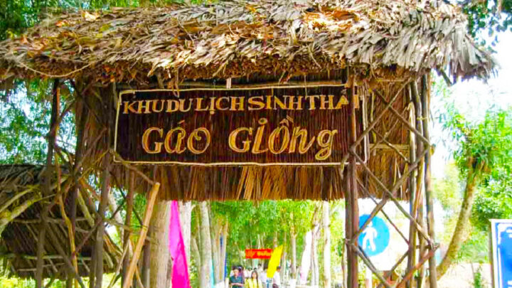 Khu du lịch Gáo Giồng Đồng Tháp - Rừng tràm nguyên sinh